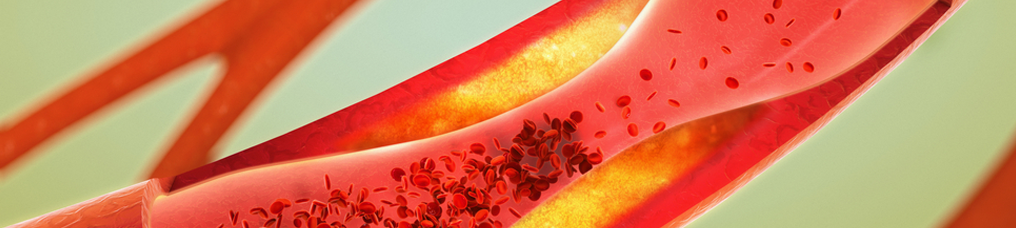 Do newborn babies have a blood-brain barrier? Shani | Magazine ...